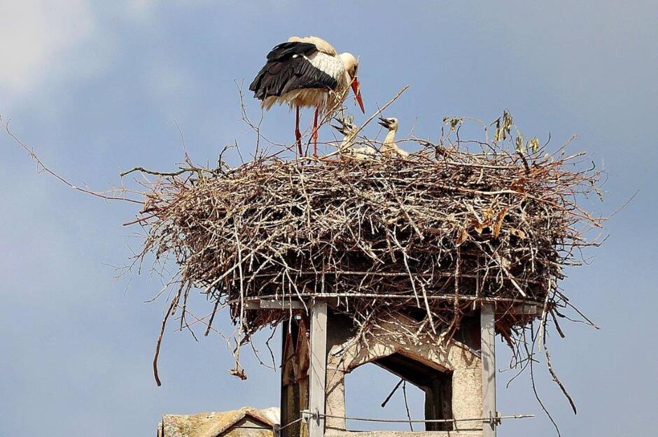 Startseite - Stegaurach